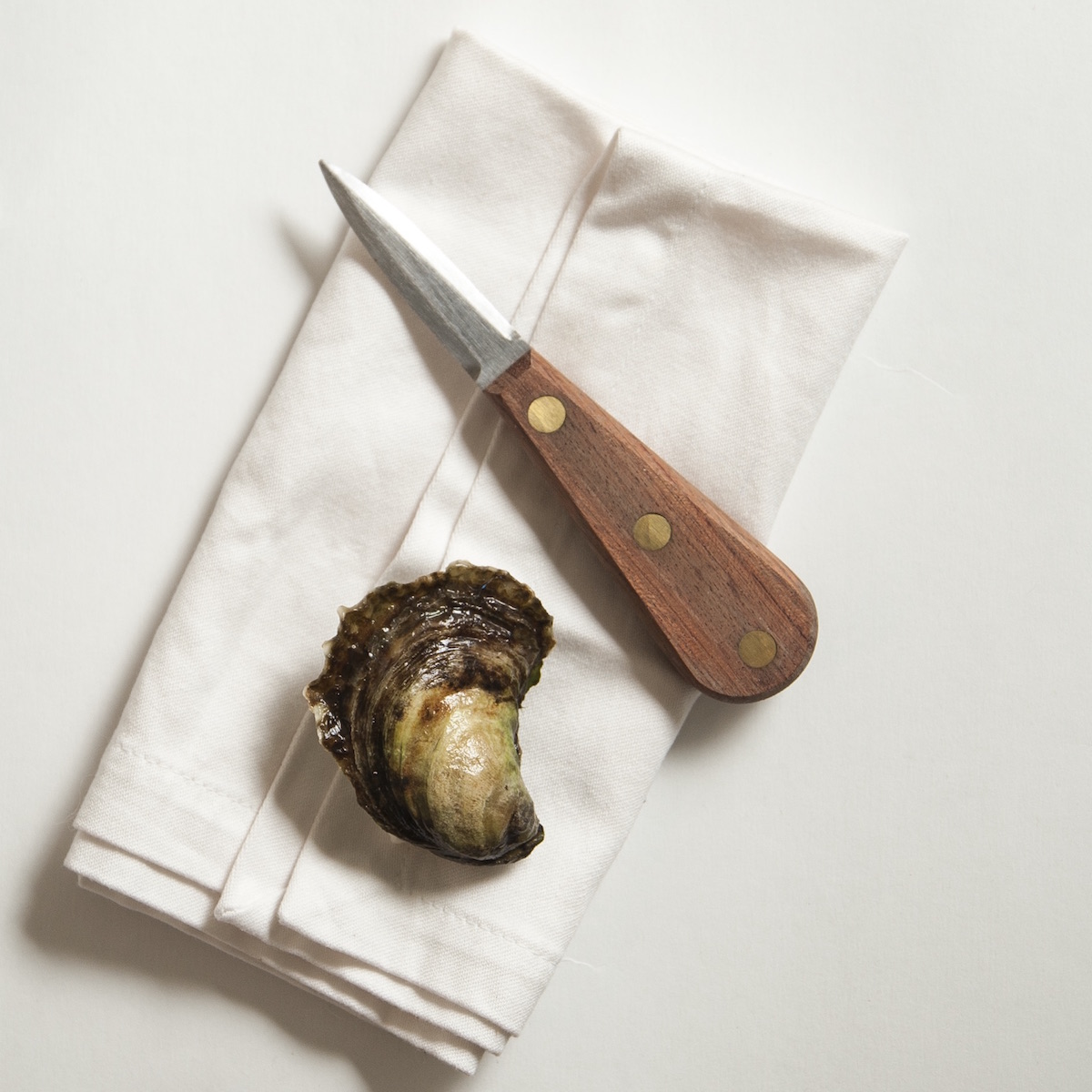 How To Shuck An Oyster Like A Pro Taste Of Nova Scotia
