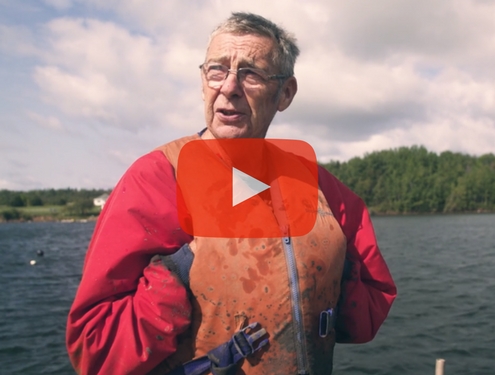 On the Shores of This Bay | Taste of Nova Scotia