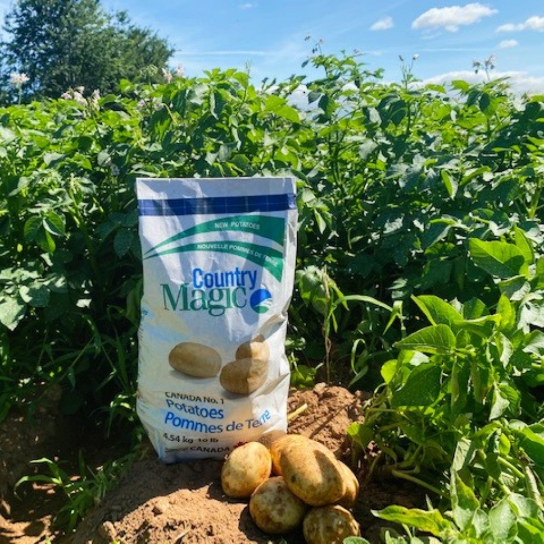 country magic potatoes | Taste of Nova Scotia