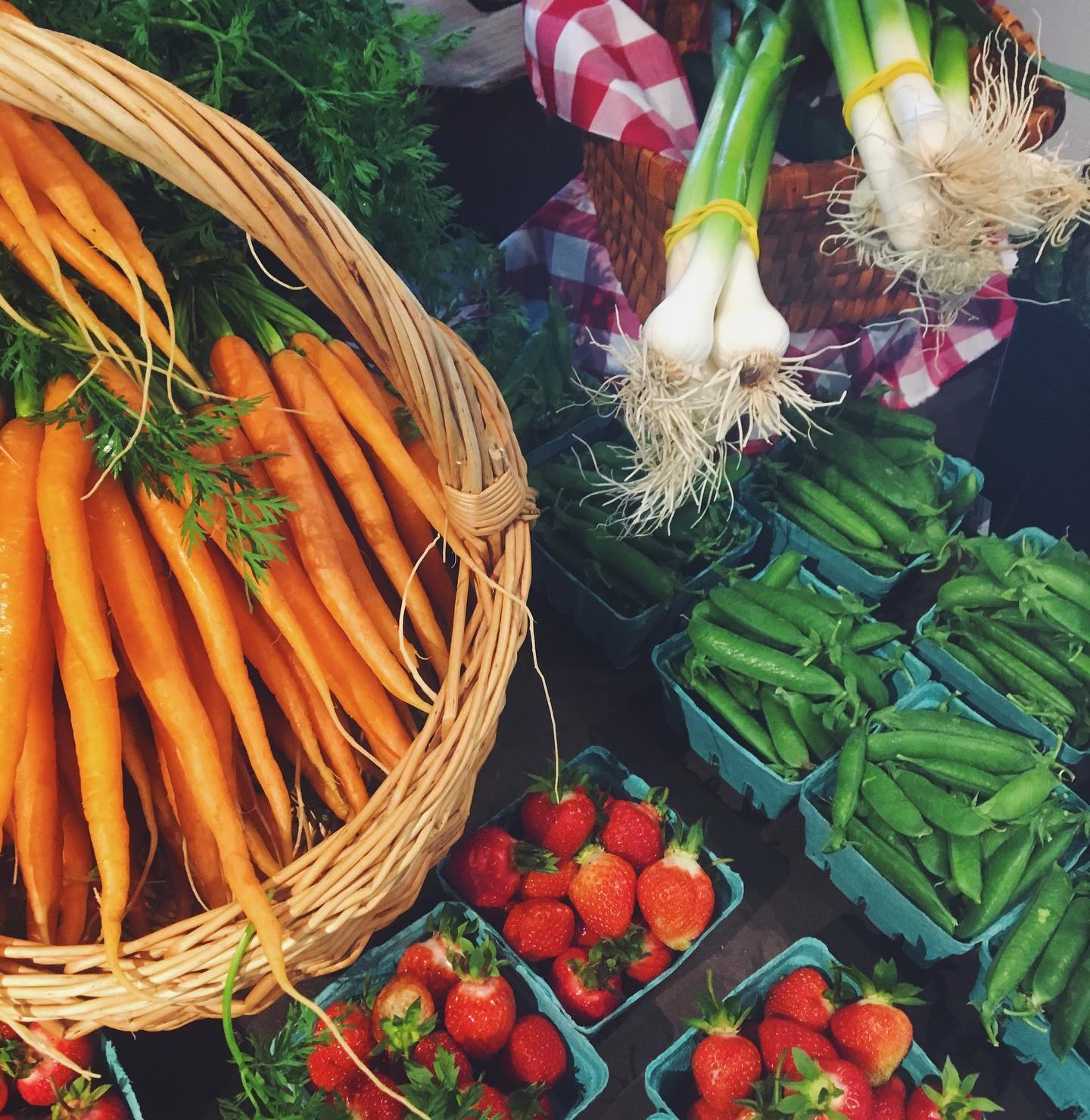 Guide to Get Your Hands on Local at Local Source Market | Taste of Nova ...