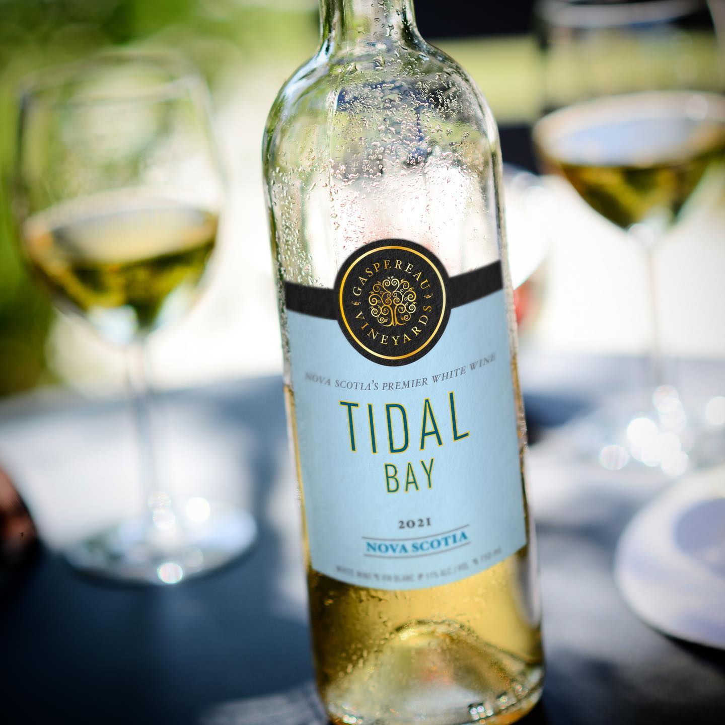 gaspereau vineyards 2021 tidal bay | Taste of Nova Scotia