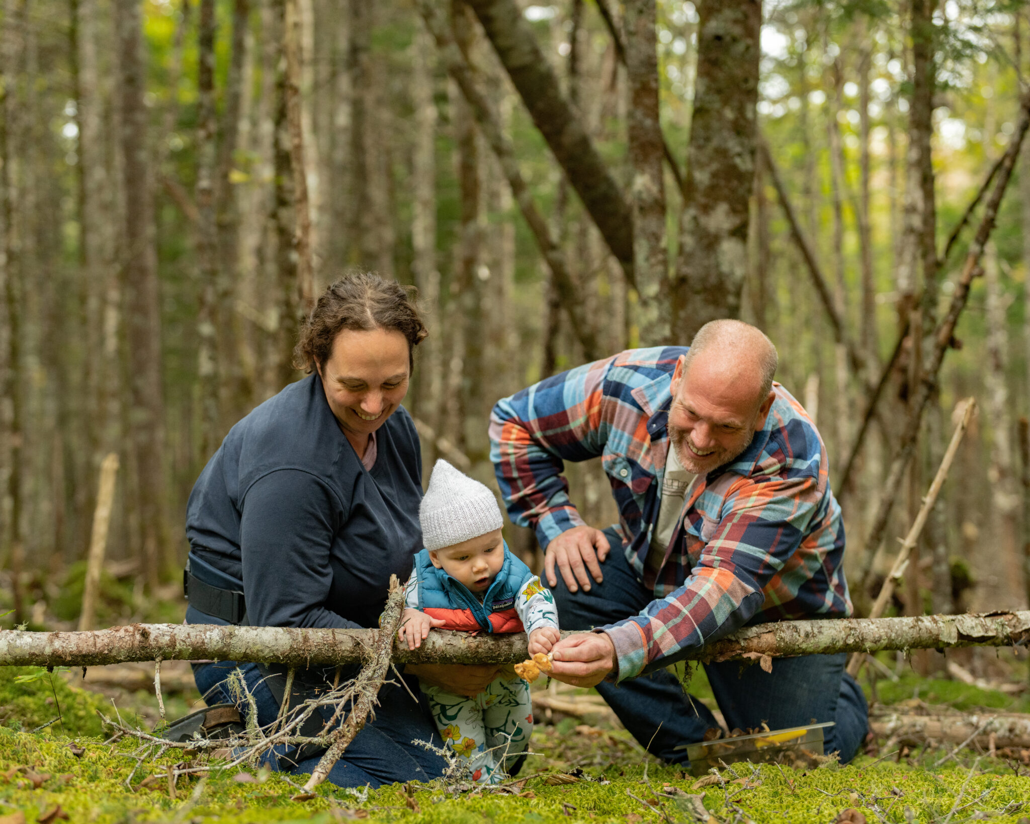 Member Profile: Wild Caraway Restaurant and Rooms | Taste of Nova Scotia